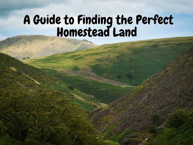 A Guide to Finding the Perfect Homestead Land – Once Upon a Brick Inc ...