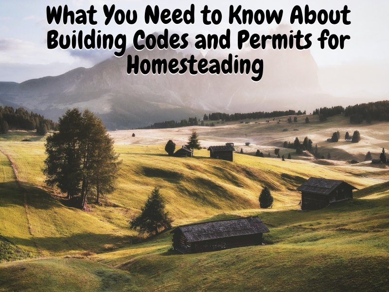 What You Need to Know About Building Codes and Permits for Homesteading ...